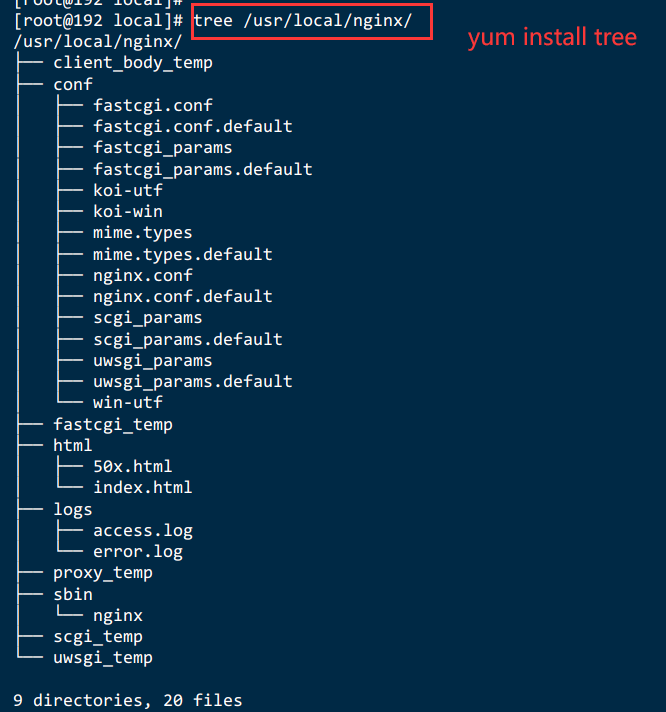 Nginx基础篇【一】_nginx license-CSDN博客