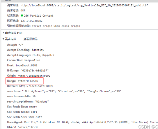 云优化cogtiff_gdal cog-CSDN博客
