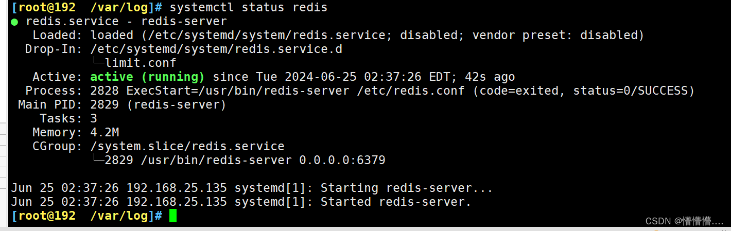 Redis 启动方式_redis systemctl-CSDN博客