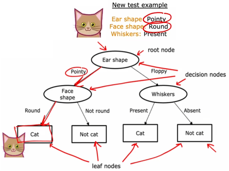 Course2-Week4-决策树_take a decision tree learning-CSDN博客