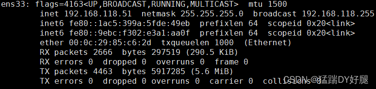 Linux网络设置_192.168.118.51-CSDN博客