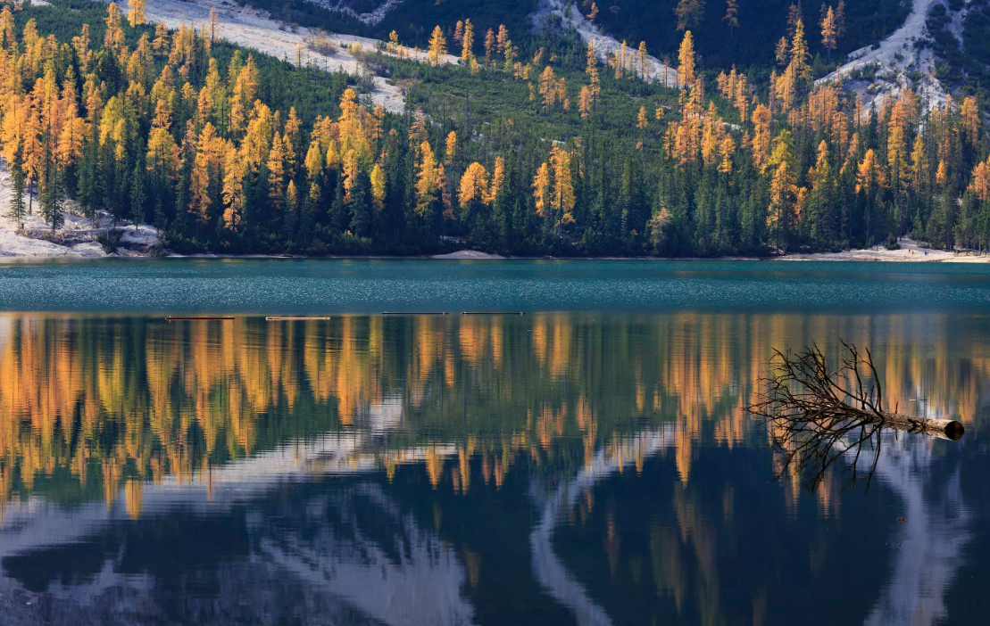 用printf函数输出数据_printf打印文字加变量-CSDN博客