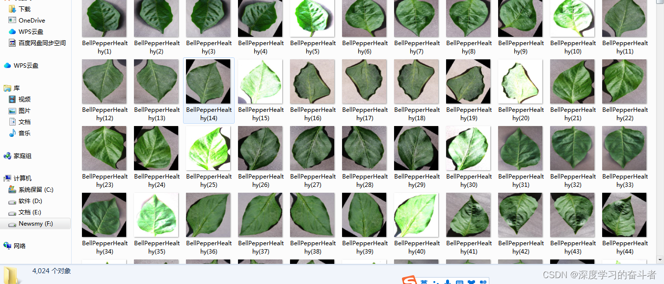 甜椒叶病害识别(python代码,pytorch框架,深度卷积网络模型,很容易替换为其它模型,带有gui识别界面) Csdn博客