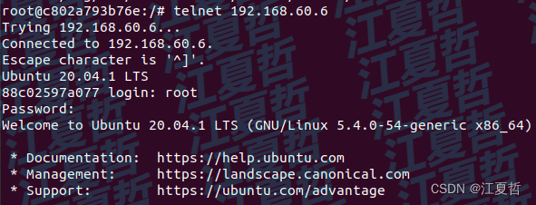 V*N Lab: The Container Version_v*n lab: the container version(seed labs)-CSDN博客
