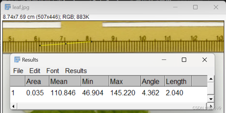 ImageJ中的距离测量与批量斑点分析-CSDN博客