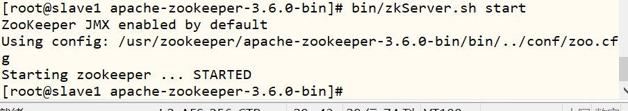 Zookeeper启动失败，提示：java.net.BindException: Address already in use 加图解超级容易理解_管理中心启动失败. 管理中心端口 2181 ...