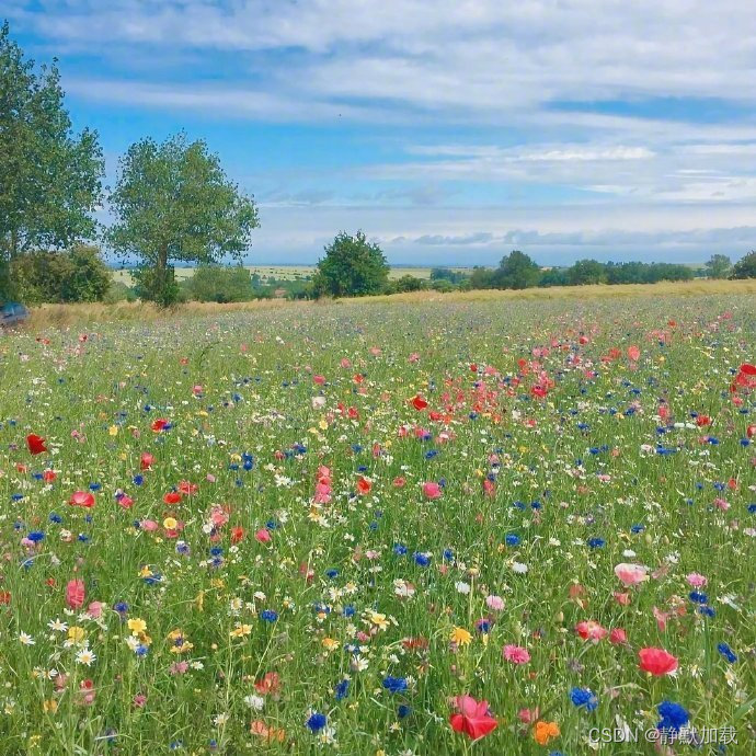 Android代码静态检查（lint、Checkstyle、ktlint、Detekt）_android静态代码检测-CSDN博客