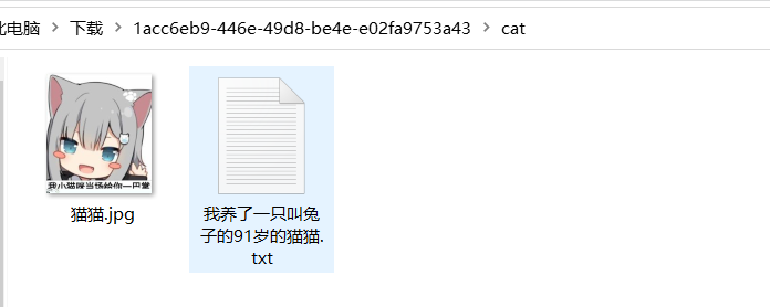 CatCatCat_攻防世界catcatcat-CSDN博客