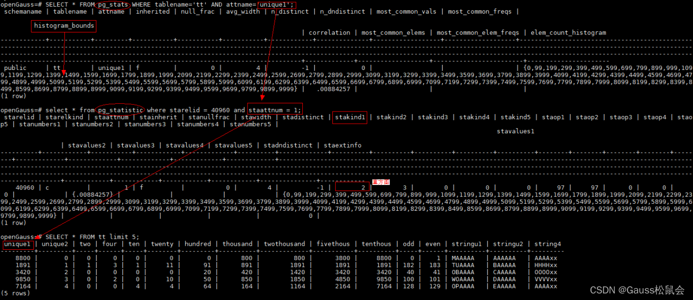 【openGauss数据库内核分析系列】：统计信息与行数估计_opengauss 统计信息-CSDN博客