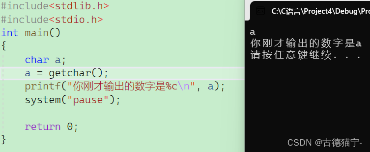除了用scanf读取字符外，你还会用getchar吗，getche呢？那getch呢_输入一个字符如果不用getchar函数,则读不出这个字符吗-CSDN博客