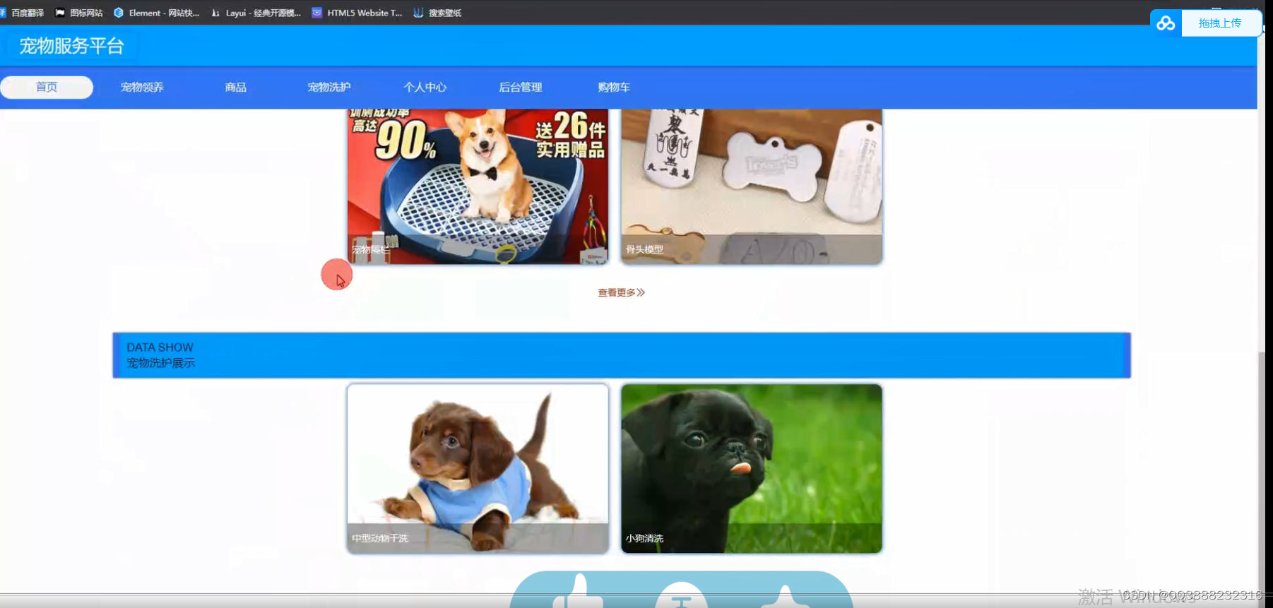 基于java+vue+ssm+jsp宠物服务平台的设计与实现+vue录像毕业设计实战源码+lw等全套资料-CSDN博客