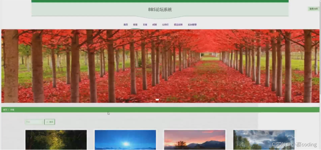 基于SpringBoot+Vue的BBS论坛系统的详细设计和实现_springboot vue bbs-CSDN博客