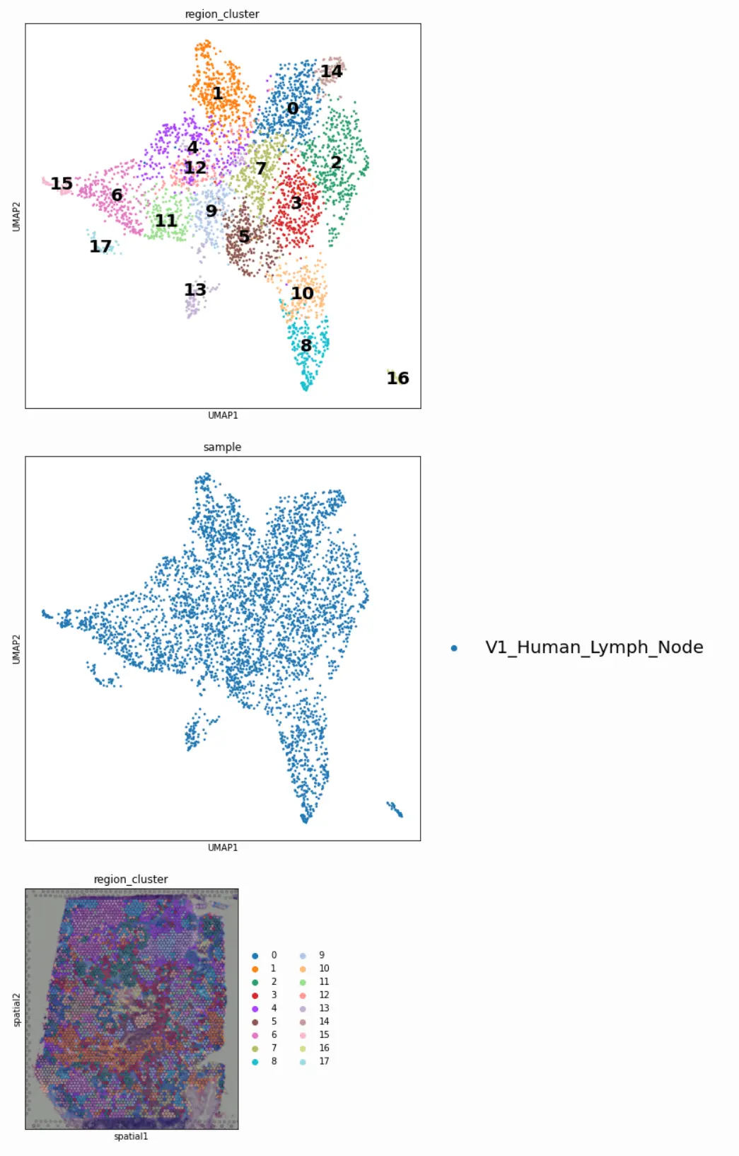 10X单细胞空间联合分析之再次解读cell2location-CSDN博客