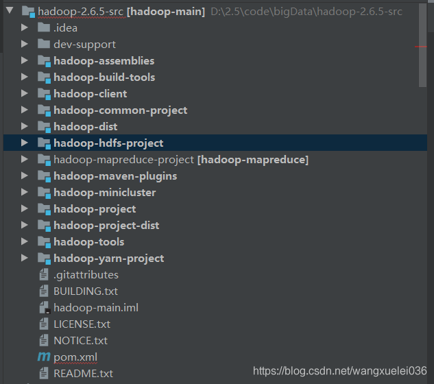 Hadoop 源码分析(一)hdfs Namenode 之 Erver启动源码分析hadoop Src 运行namenode Csdn博客