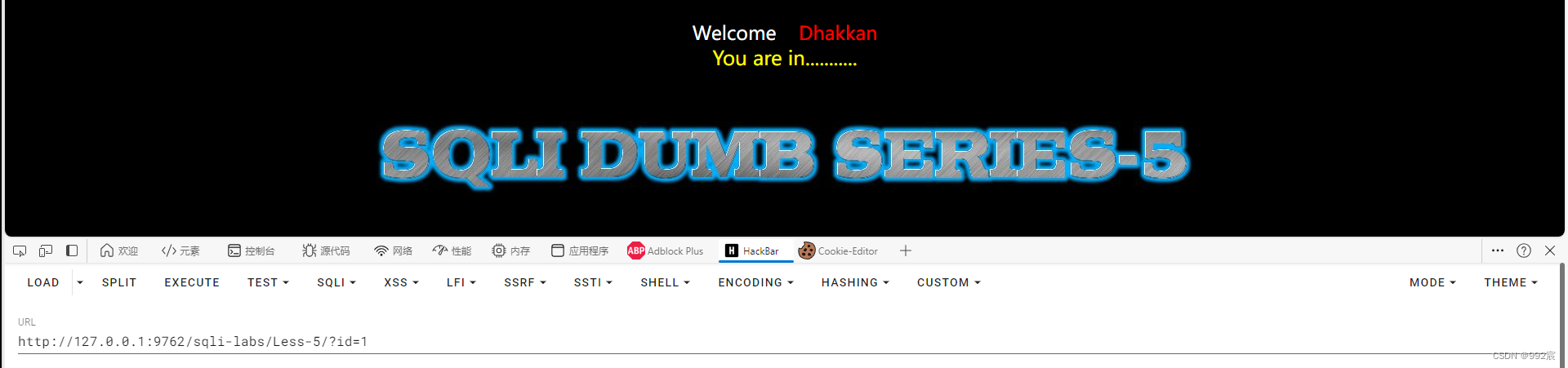 sqli-labs解题记录_please input the id as parameter with numeric valu-CSDN博客
