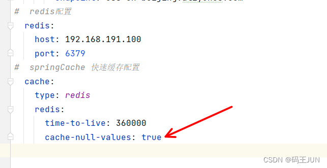 SpringCache------ 一些问题处理_spring.cache.redis.cache-null-values-CSDN博客