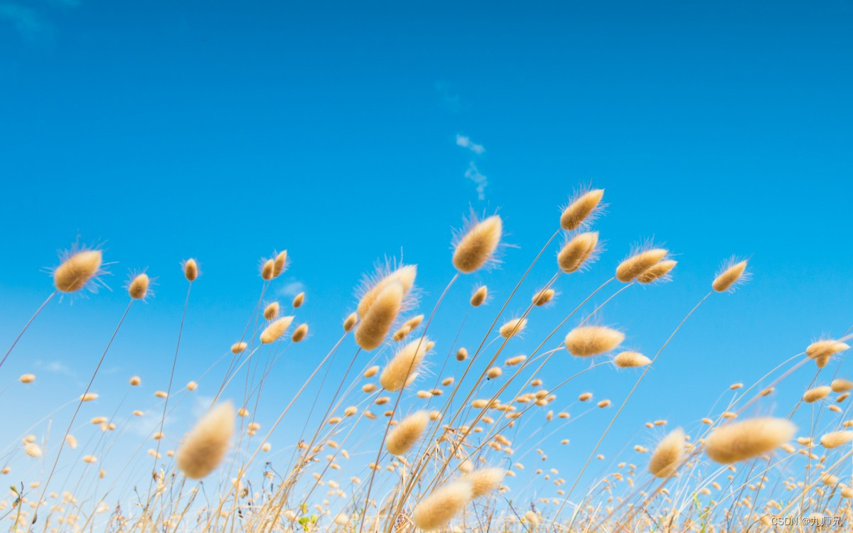 【Antlr】Could not deserialize ATN with version 3 expected_org.antlr.v4.runtime.atn.atn; could not ...