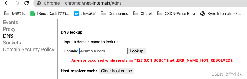 ApiPost - 踩坑指南_apipost localhost-CSDN博客