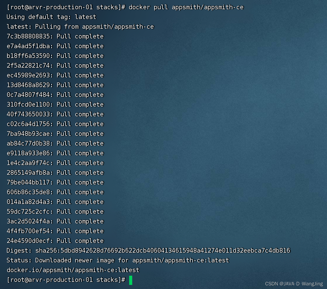 Docker 下 Appsmith 安装配置_docker 安装 appsmith-CSDN博客