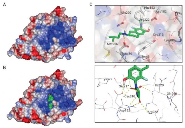 首例被攻克的 “不可成药“ 新靶点: PTPN2/PTPN1 - MedChemExpress_abbv-cls-484-CSDN博客