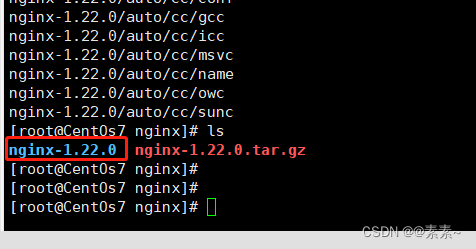 Nginx 01篇——Nginx详细安装步骤以及Nginx各种启动方式-CSDN博客