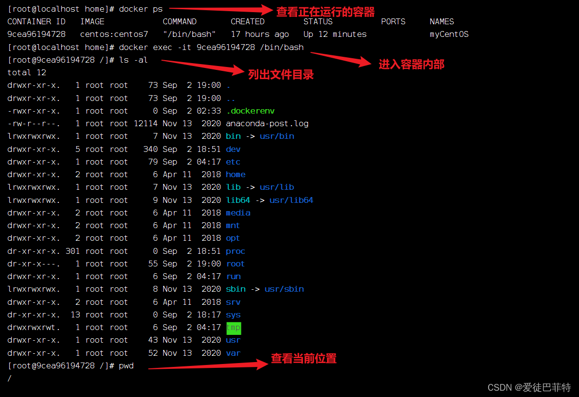docker_docker安装tomcat自带jdk-CSDN博客