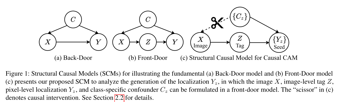 【论文阅读】Causal Intervention for Weakly-Supervised Semantic Segmentation-CSDN博客