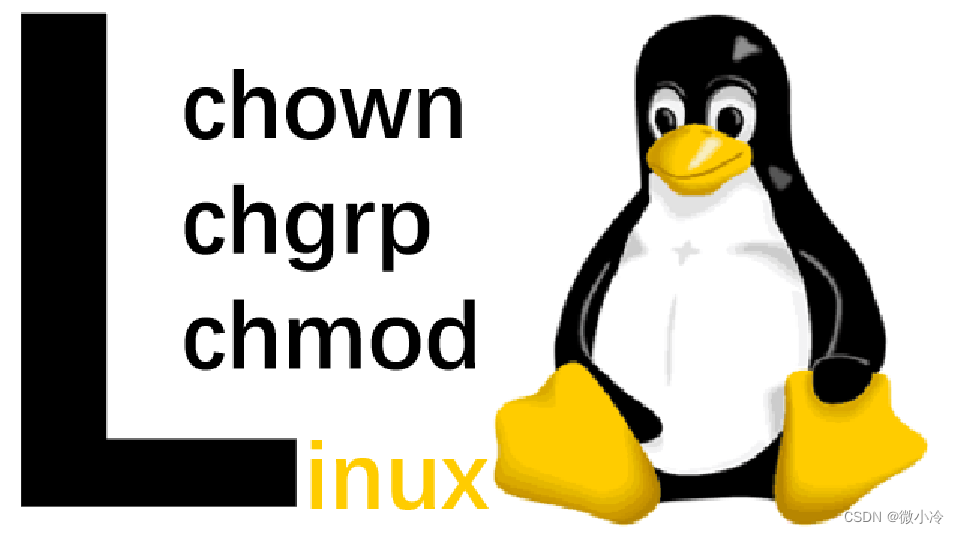 Linux用户和权限：chown, chgrp,chmod_chown wr-CSDN博客