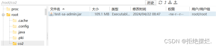 Springboot+vue项目部署在Centos系统教程（2024年最新版，手把手教学）_centos部署vue项目-CSDN博客