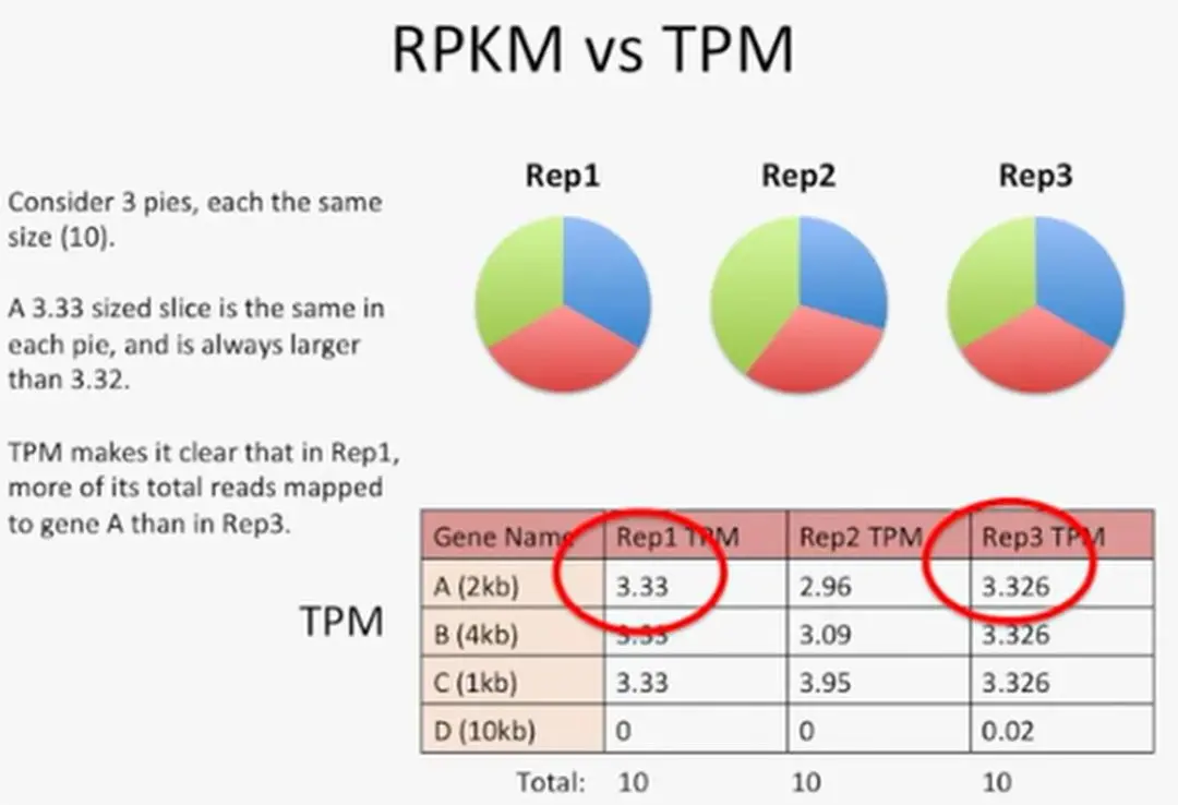 RPKM、FPKM 和 TPM cpm-CSDN博客