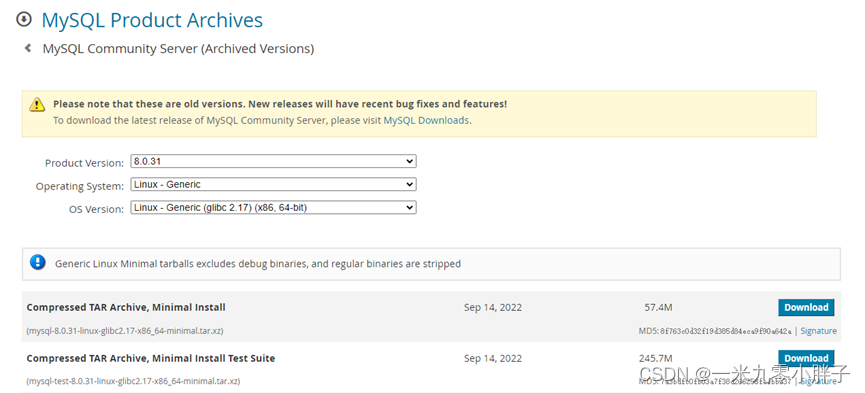Linux - CentOS 二进制安装 MySQL 8.0.31（非常实用）_linux怎么部署mysql8-0-31-CSDN博客