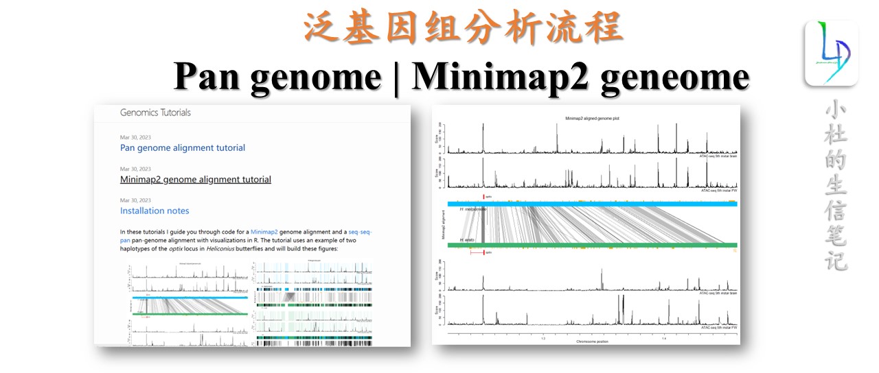 泛基因组分析流程 | 详细教程-CSDN博客