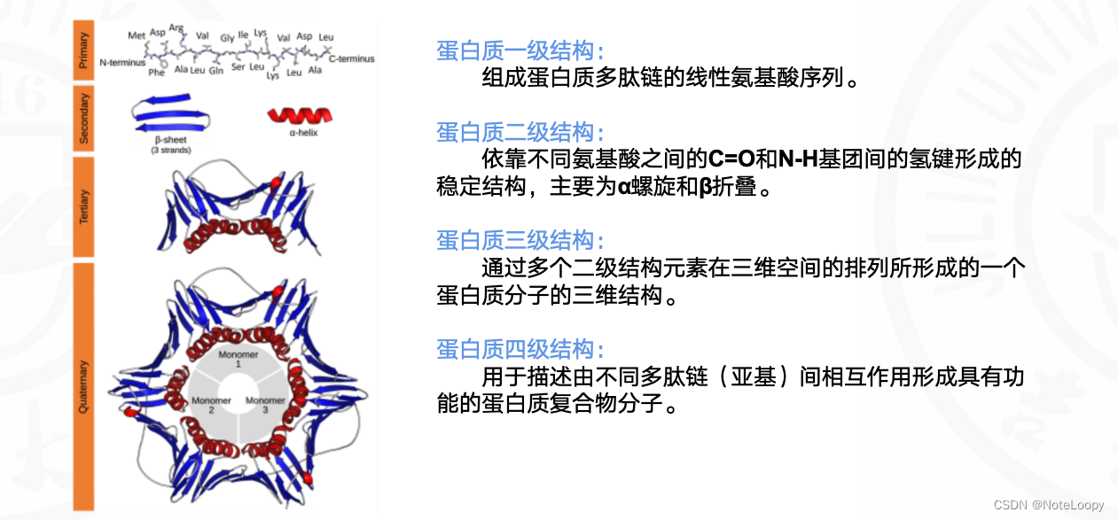Protein Structure Representation Learning by Geometric Pretraining-通过几何 ...