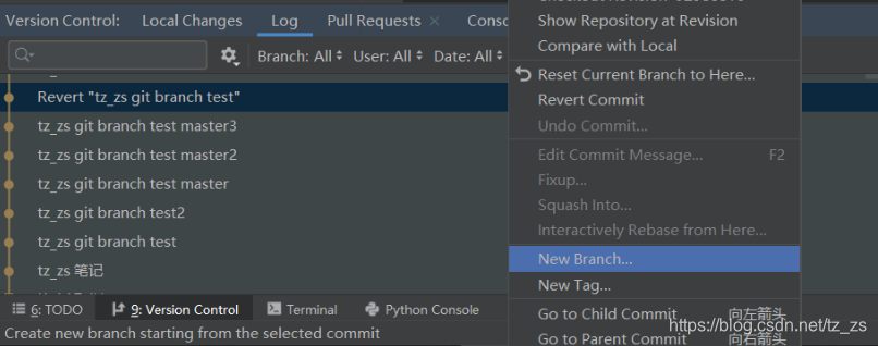【pycharm】 git 版本管理 branches 和 tag 的使用_pycharm git tag-CSDN博客
