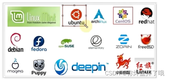 【b站黑马程序员linux 学习笔记 01】b站linux学习笔记 Csdn博客 