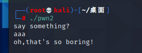 BugkuCTF pwn overflow_pwn 输入say something-CSDN博客