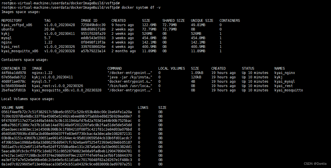 docker system df -v命令（查看Docker容器占用的存储空间）（RECLAIMABLE可回收的存储空间大小）（Local Volumes本地卷（挂载））-CSDN博客