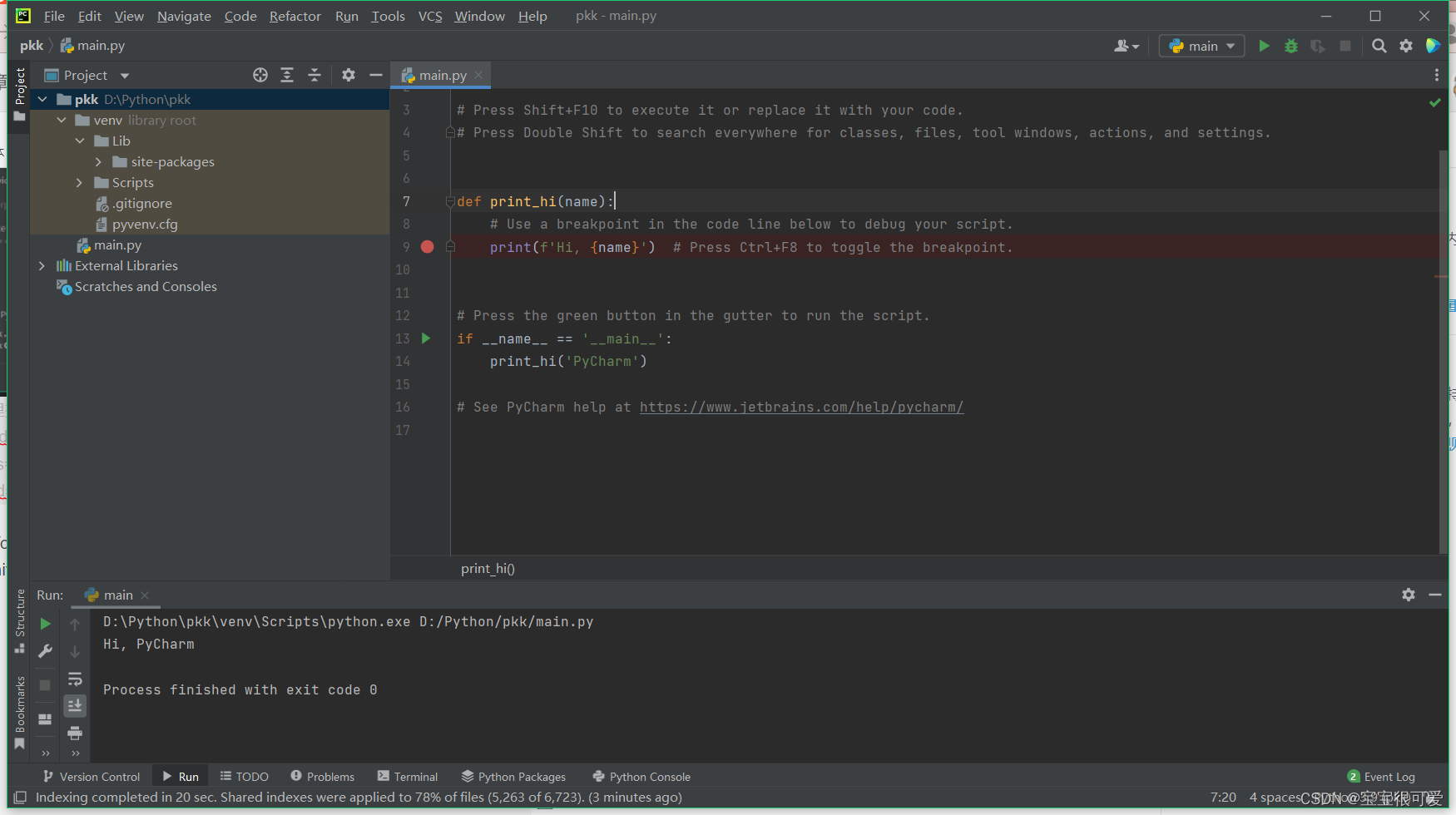 PyCharm的安装以及使用_pycharm add bin to path-CSDN博客