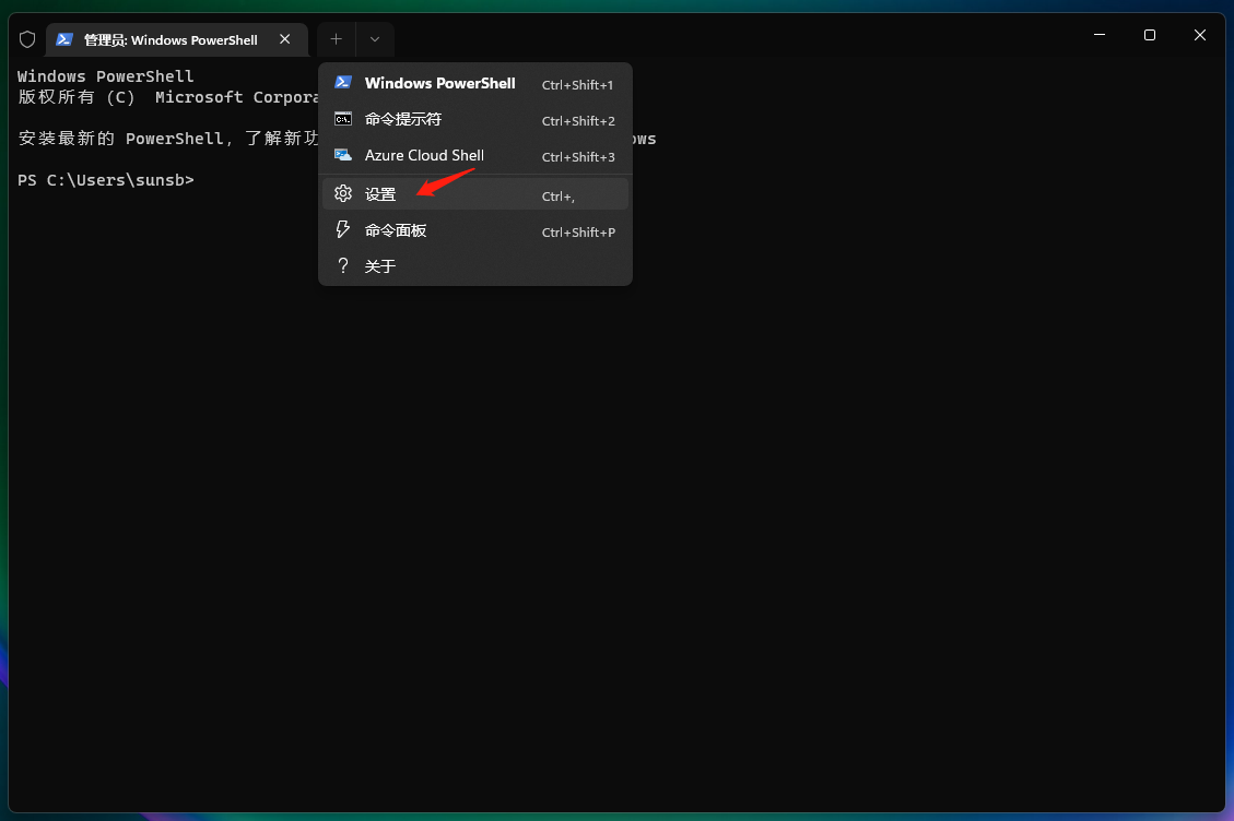 手把手 windows terminal 美化，拥有王一博个性化的终端_windowsterminal主题-CSDN博客