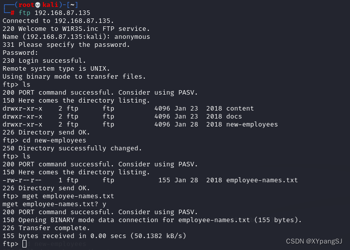 w1r3s靶场-nmap扫描与分析 ftp渗透 与 ssh提权_ftp sslv2-drown 渗透-CSDN博客