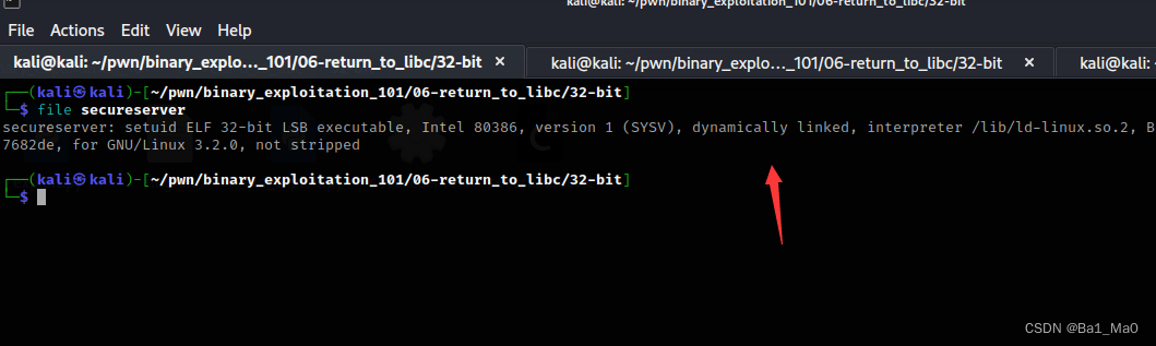 PWN入门（7）NX enabled与返回LibC库-CSDN博客