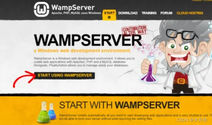 使用 WampServer 在 Windows 计算机上成功安装了 WordPress_wampserver wordpress-CSDN博客