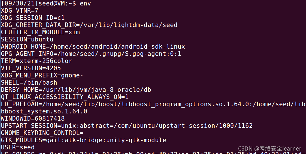 Environment Variable and Set-UID Program Lab-CSDN博客