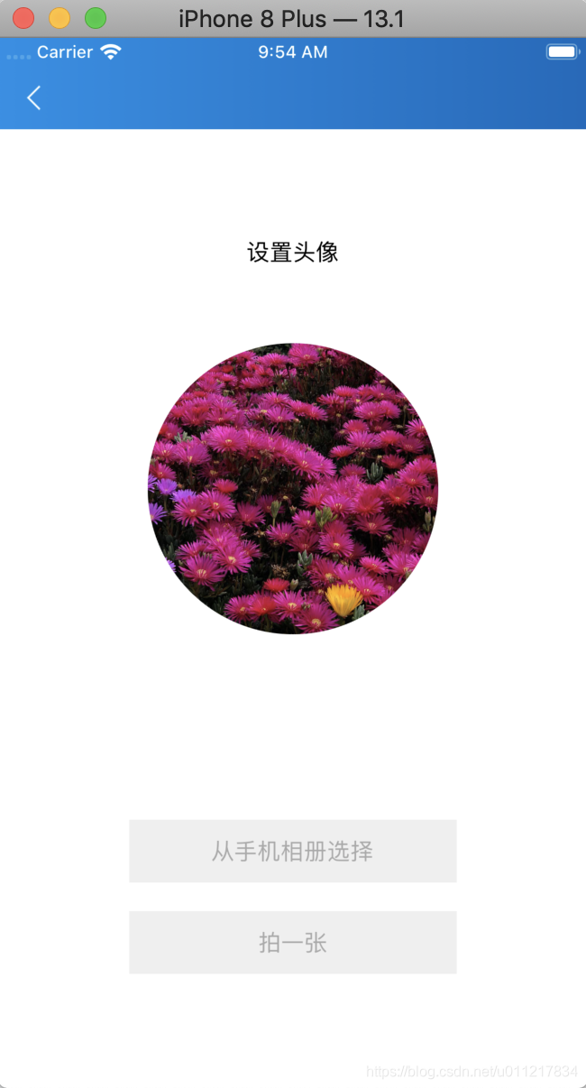 iOS 使用xib布局 适配各机型遇到的小问题_ios xib适配机型-CSDN博客