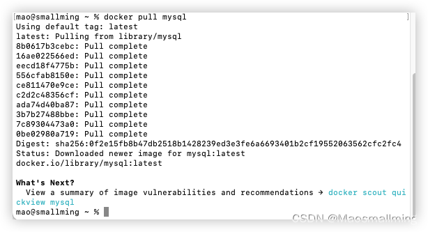mac 使用docker安装mysql 并连接到navicat_mac docker mysql-CSDN博客