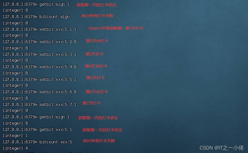 Redis数据类型Bitmaps_redis的bit类型-CSDN博客