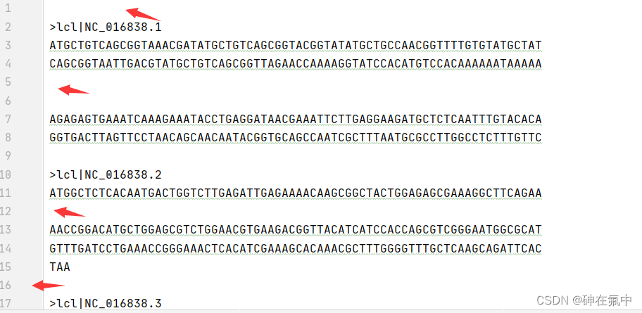 Python制作 .fasta文件的解析器_python 解析fasta文件-CSDN博客