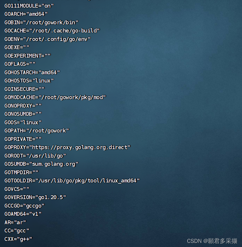 Ubuntu安装指定版本的go环境_ubuntu设置golang环境变量-CSDN博客