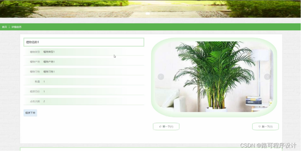 Springbootjavanodepythonphp植物租赁服务系统的设计与实现【2024年毕设】 Csdn博客