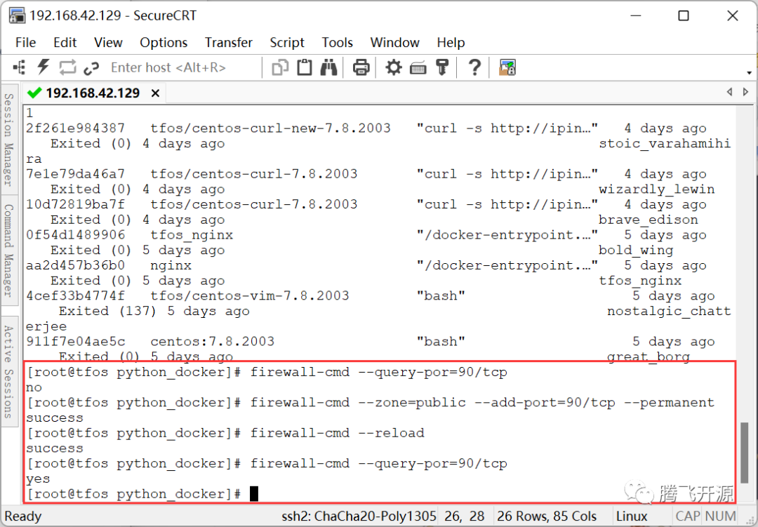使用docker部署python网站docker搭建python网站 Csdn博客 2809